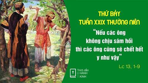 Chú Giải Tin Mừng Thứ Bảy Tuần XXIX Mùa Thường Niên (Lc 13,1-9) | Giáo Phận Phú Cường